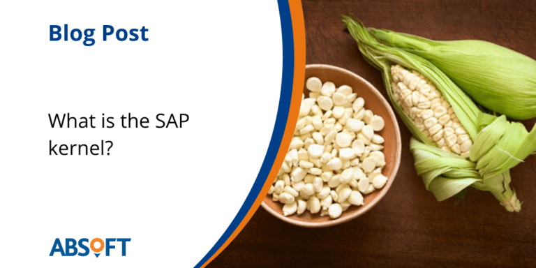 What is the SAP kernel, and why should I care? | Ensure your SAP system ...